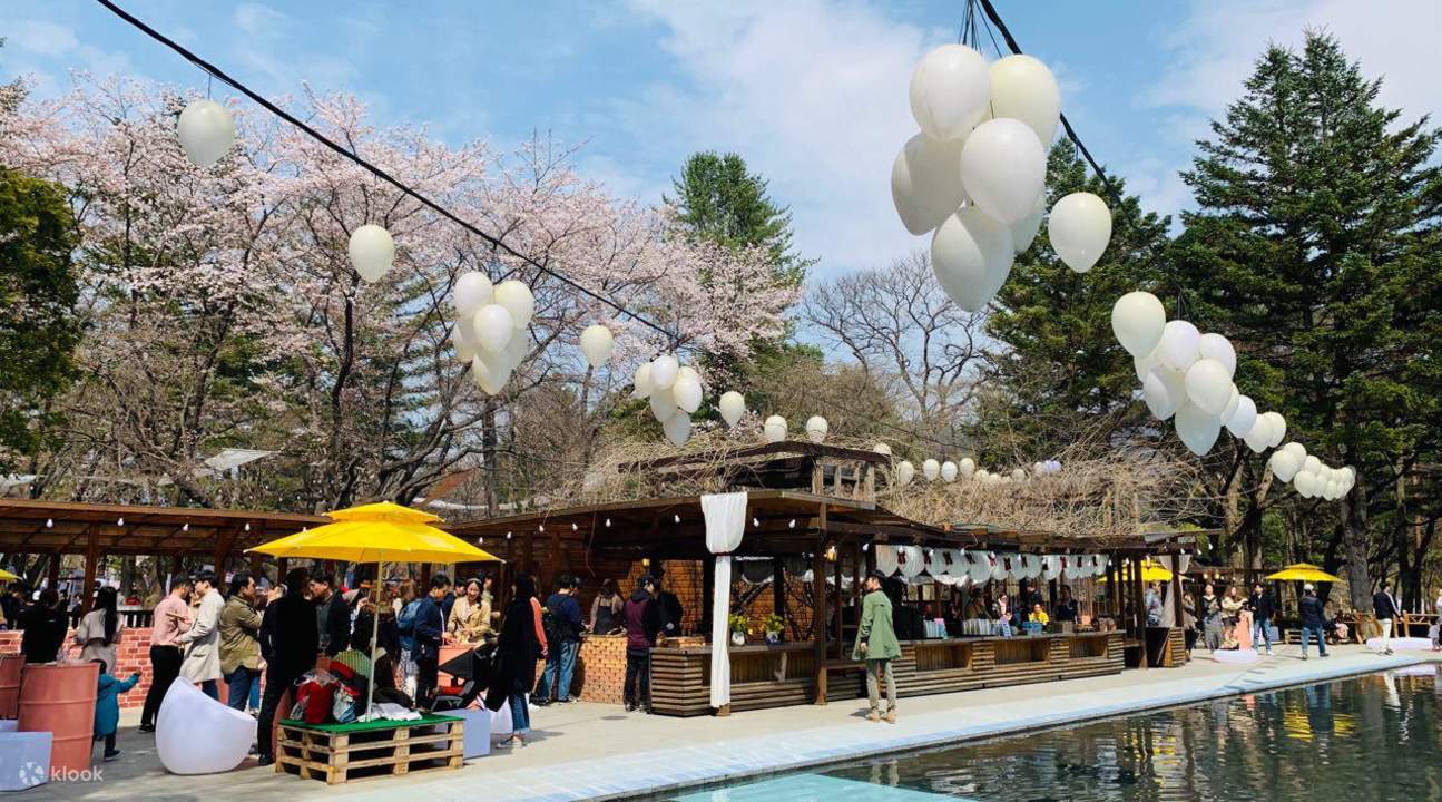 Nami Island Cherry Blossom Viewing from Seoul, South Korea - Klook ...